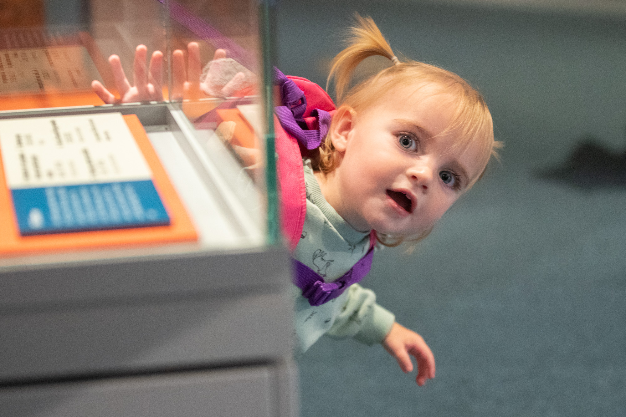 Families - Sheffield Museums Trust