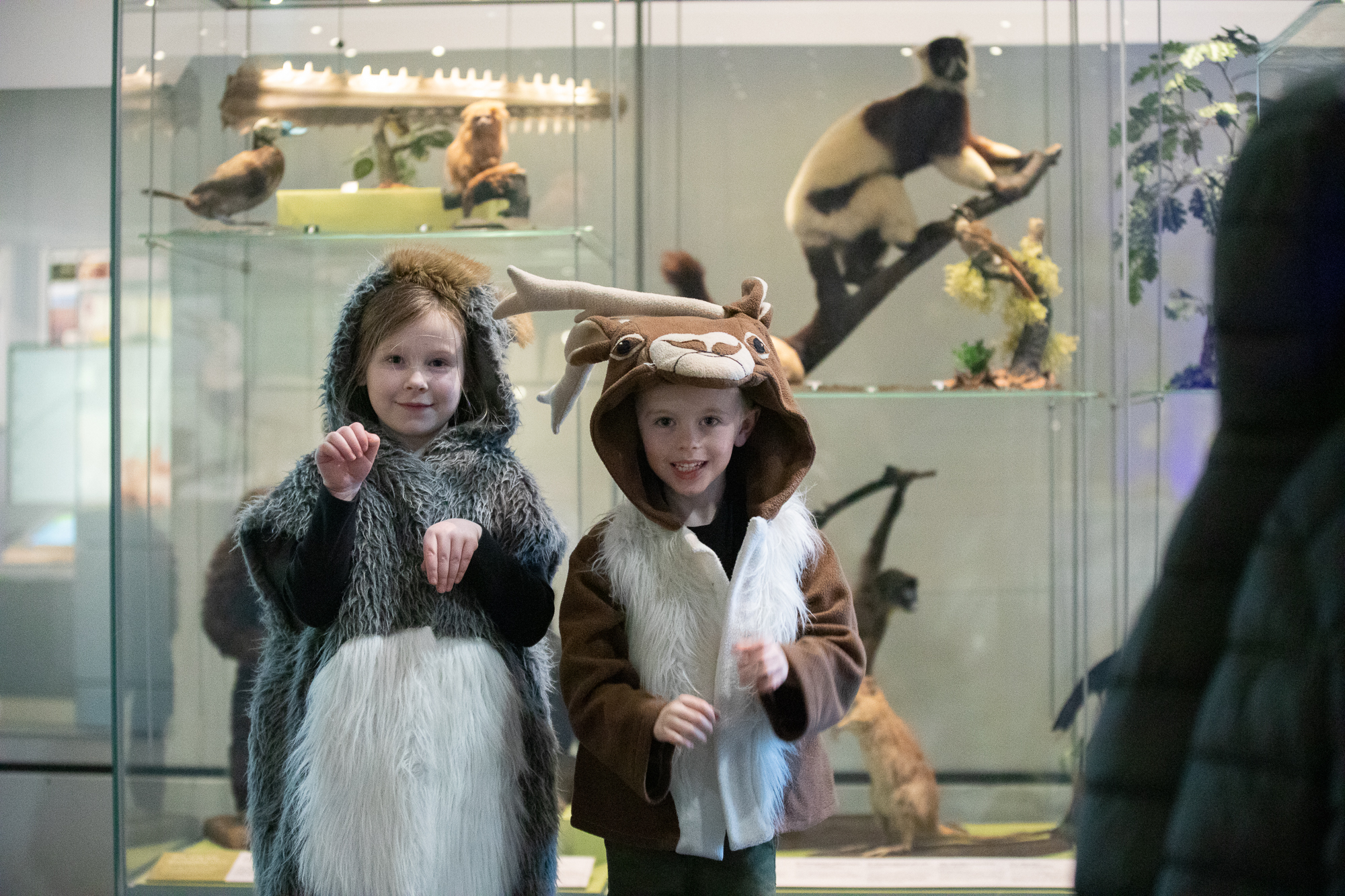 Weston Park Museum - Sheffield Museums Trust