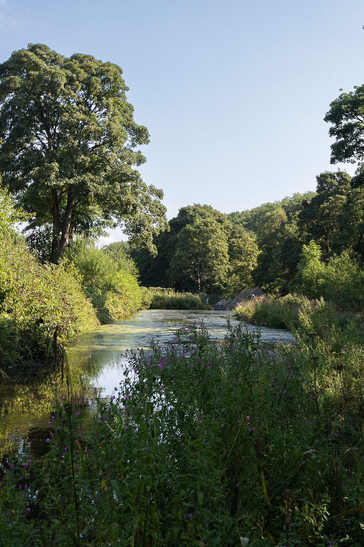 The Porter Valley - Sheffield Museums Trust