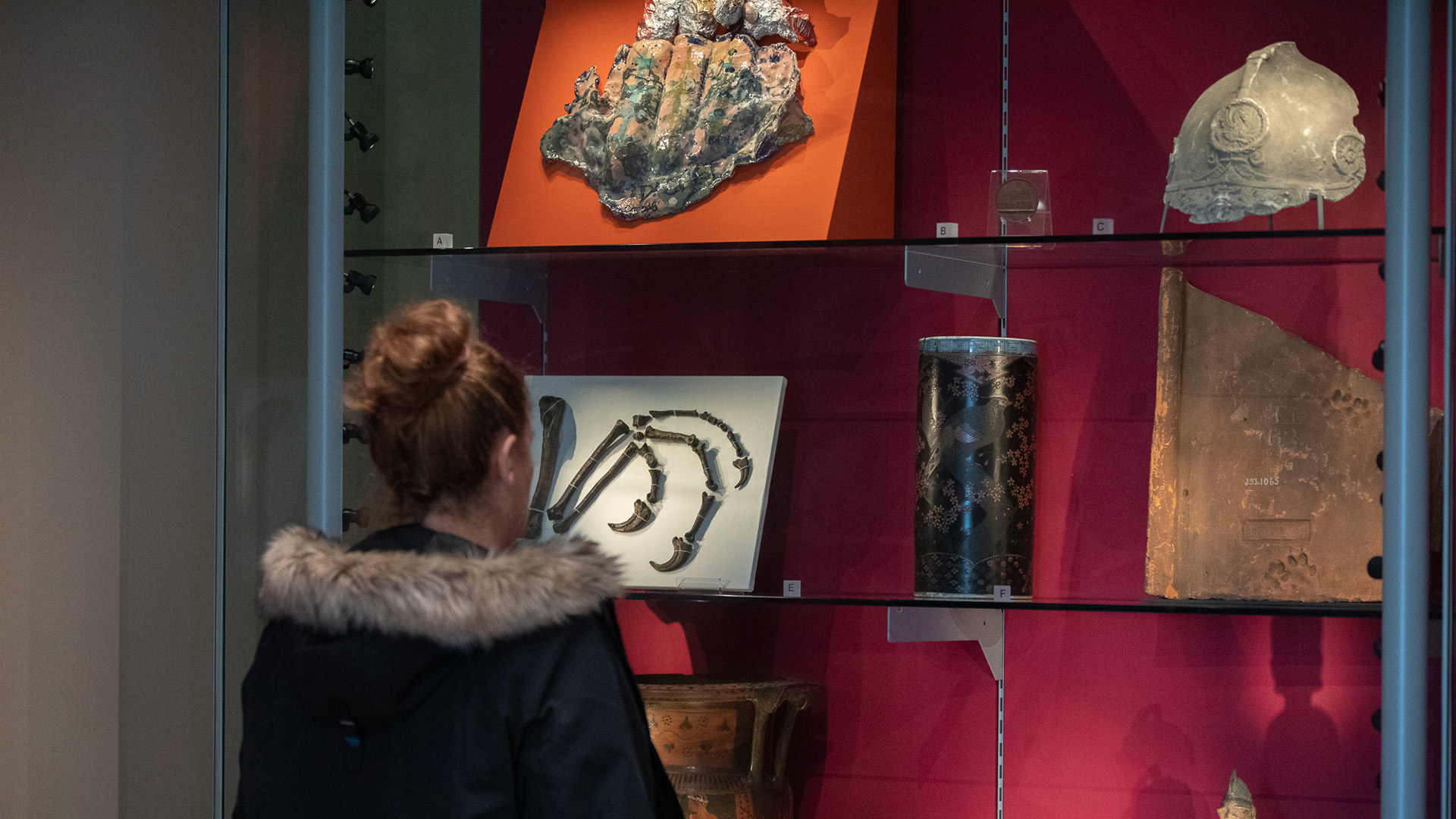 Weston Park Museum - Sheffield Museums Trust